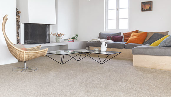 Balta Carpets » Brands